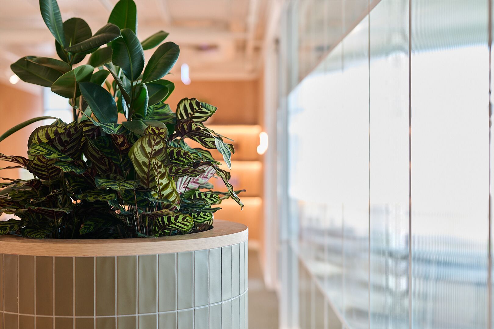 GROUNDUP Wellness Studio, Dickson | Fitout | Intermain